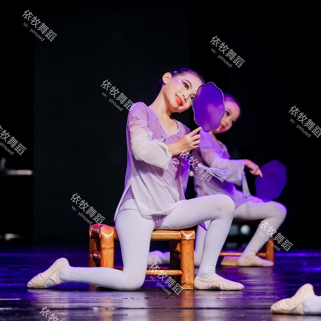 Acacia dance costume classical dance purple gauze dress practice ...