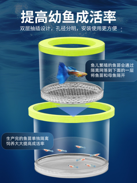 Incubation Box Peacock Fish Tank Breeding Isolation Box Small Fish ...