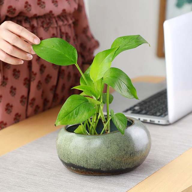 Creative retro succulent flower pot ceramic non-porous hydroponic ...