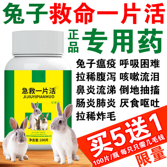 Rabbit standing medicine special medicine pet rabbit disease diarrhea ...