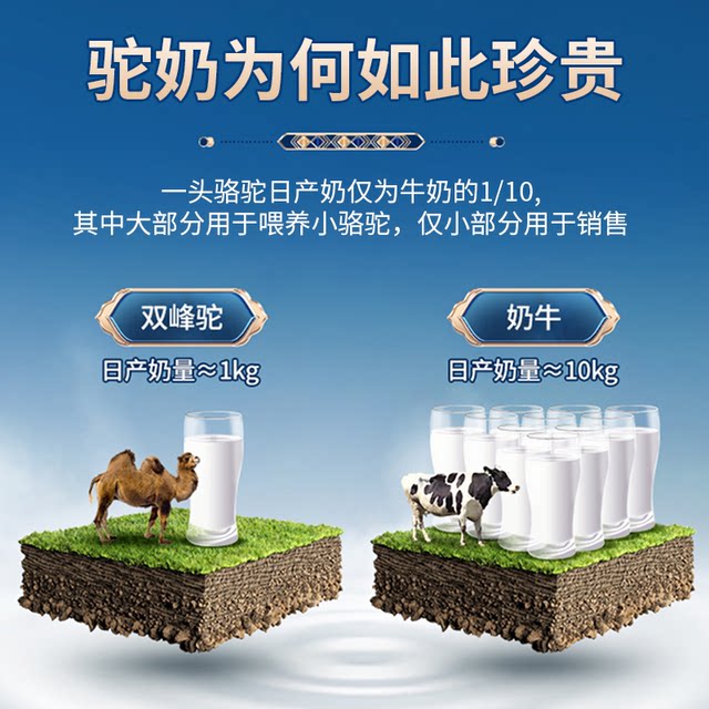 Probiotic camel milk nutritional powder imported from Kazakhstan for ...