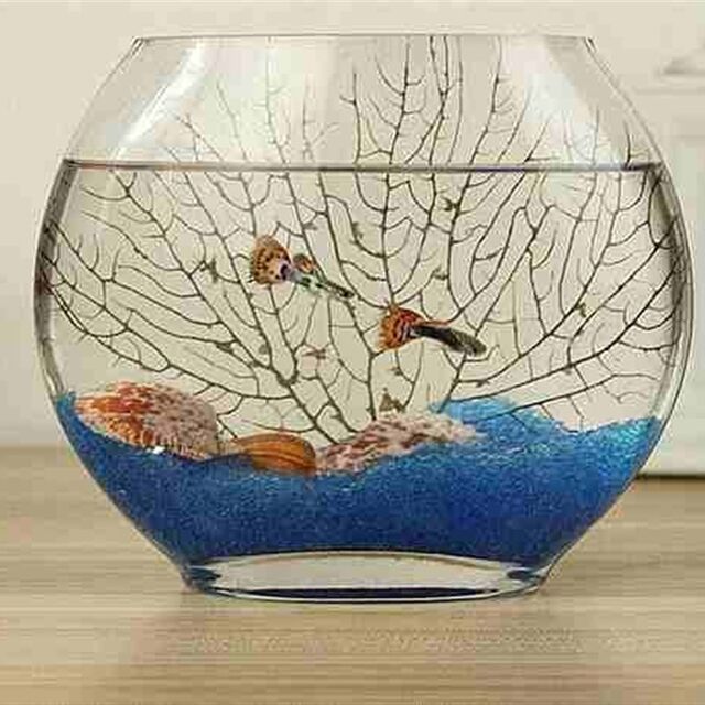 Recommended flat mouth transparent E bright glass tank flat round ...
