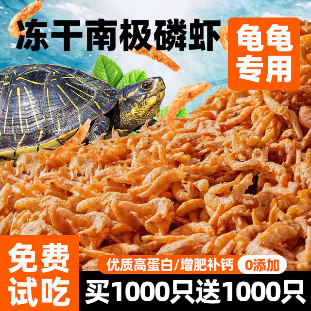 Antarctic shrimp fried dry turtle food turtle feed fish dried shrimp ...