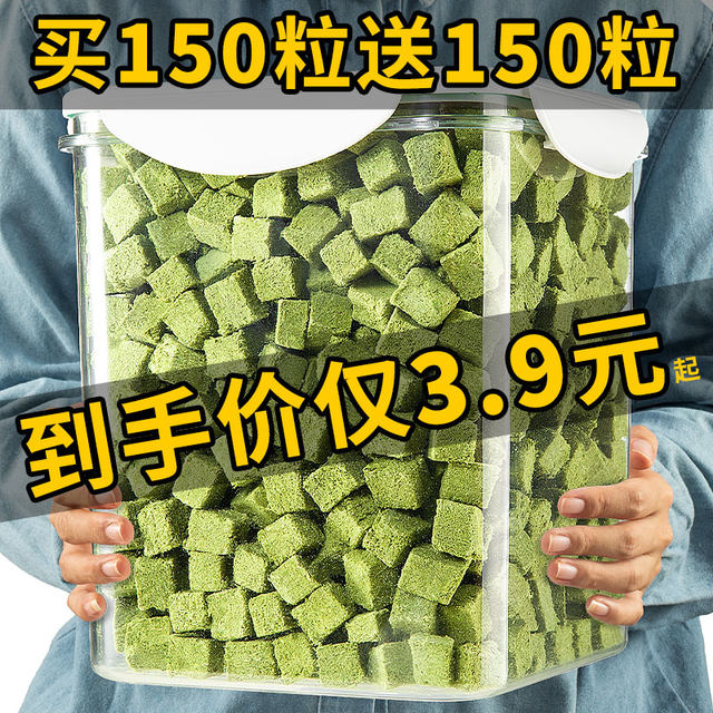 Cat -frozen cat -grained cat snack -towning hair wool -to -teeth native ...