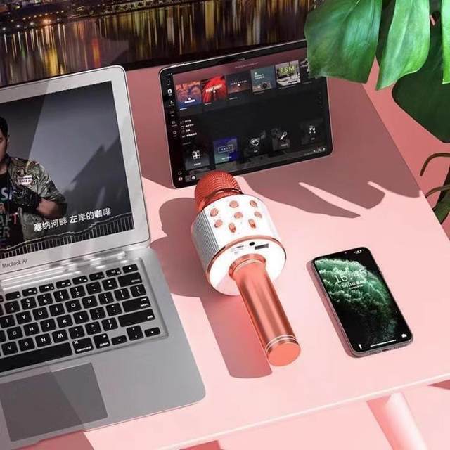 Karaoke microphone Bluetooth song request wireless all-in-one machine ...