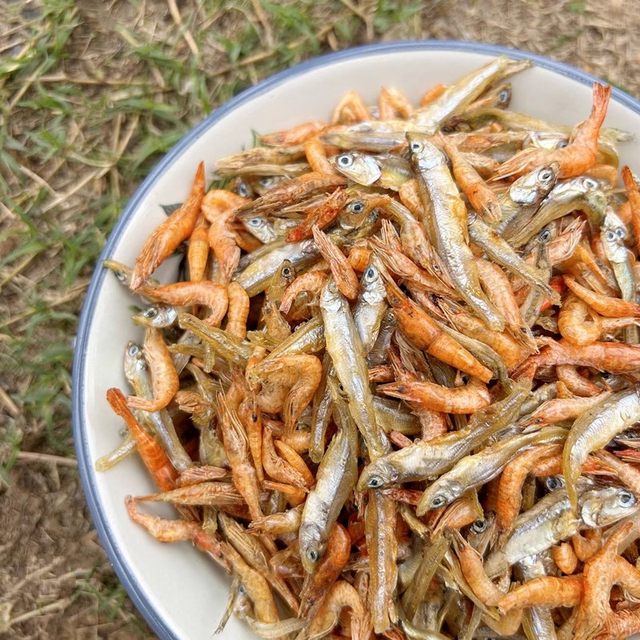 Wholesale price] Small fish larvae, small fish and shrimps, farm-made ...