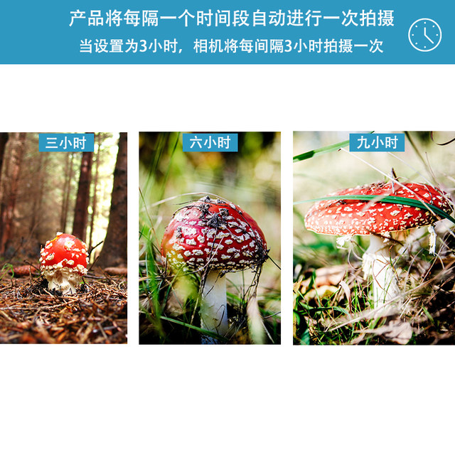 HD 4K outdoor infrared camera body induction night vision photo video ...