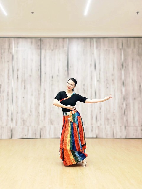 Flowers and Shadows New Dance Love in Namtso Tibetan Dance Costume Practice Skirt Tibetan Stage ...