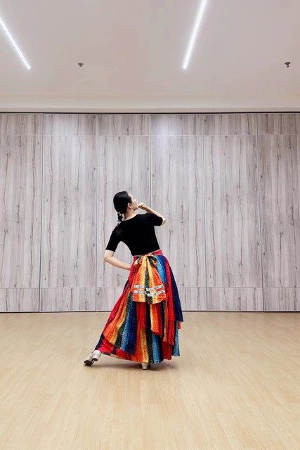 Flowers and Shadows New Dance Love in Namtso Tibetan Dance Costume Practice Skirt Tibetan Stage ...