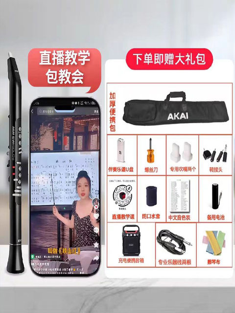 Akai Yajia 5000 electric blowpipe solo electronic wind instrument ...