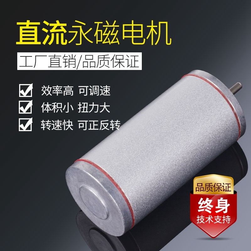 Longxiang 12V/24V DC High-Speed Motor - 4000 RPM Adjustable