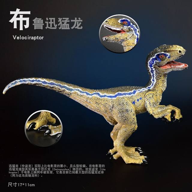 Simulated dinosaur model complete set of toys BLUE Velociraptor Blue ...