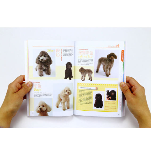 Founder Poodle and Dogs Life with Dog of Dog Feding Tips Manual Manual ...