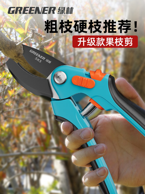 Green forest gardening scissors pruning branches scissors pruning ...