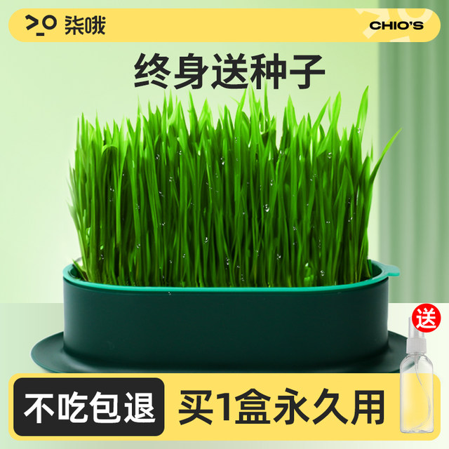 Cat grass potted seed nursery tray, lazy hydroponic hair ball tablets ...