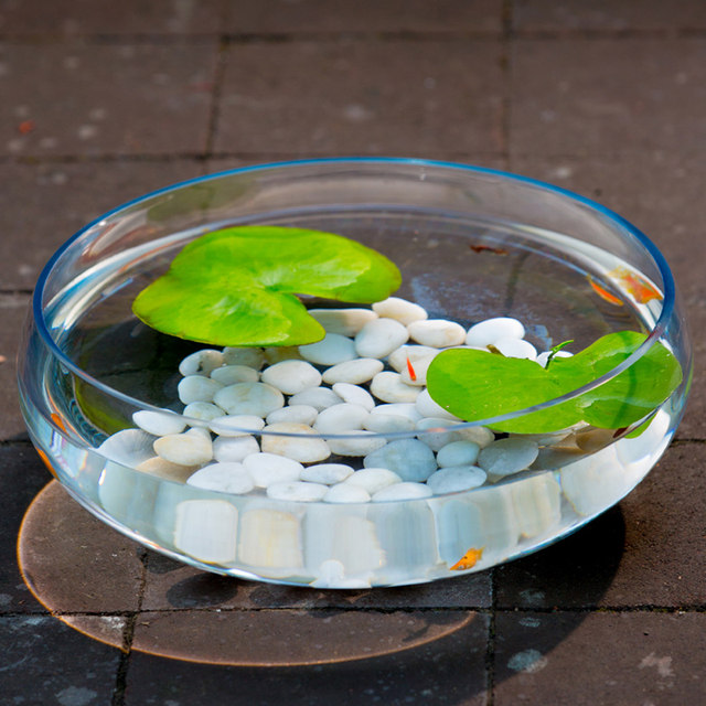 Aiyuebao extra large lotus tank water lily tank glass fish tank ...