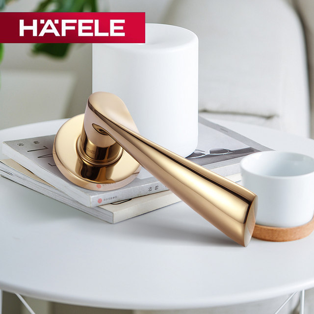 German Hafele HAFELE bedroom stainless steel light luxury golden door ...