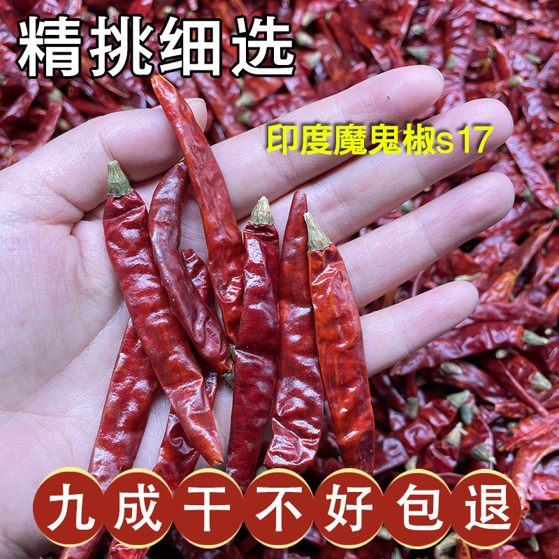 Super spicy indian little devil pepper king - pequenas tiras de ...
