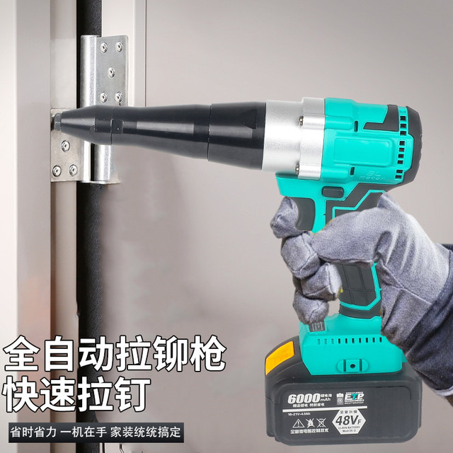 Ruishi Dayi electric rivet gun lithium battery fully automatic rivet ...