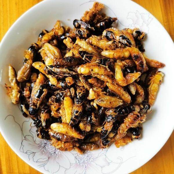Fried bee pupae (half Jin [Jin is equal to 0.5 kg]), a local specialty ...