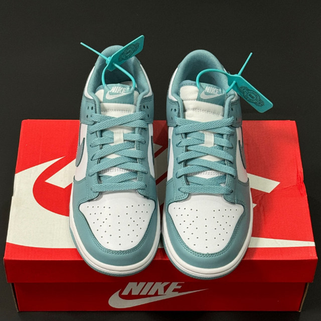 Nike DUNKLOW Green and White Low Top Shoes DV0833-106