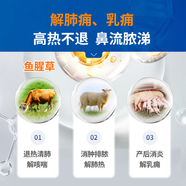 Zhonglong Shenli Houttuynia cordata injection veterinary liquid, sow ...