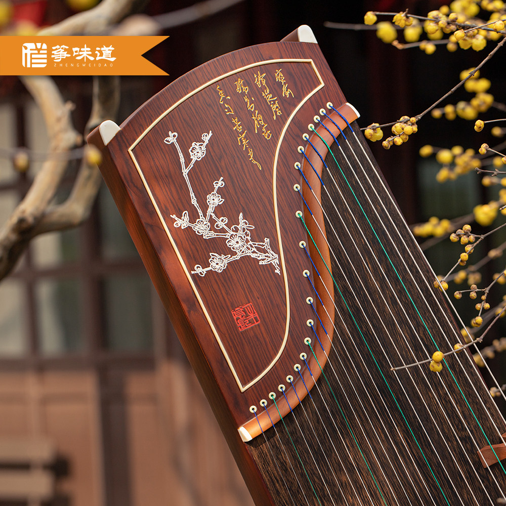 Mahogany Bone-Inlaid Guzheng - Professional Grade 10 Playing Zither for ...