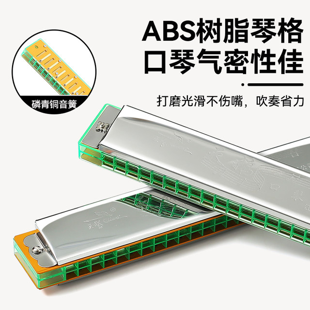 Swan harmonica beginner students 24 holes entry children's polyphonic ...