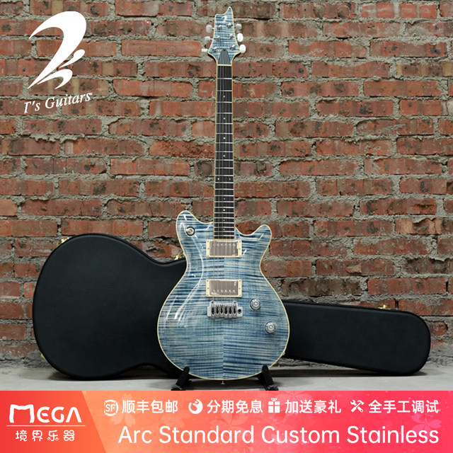 (Reference for sale) T, T'S GUITARS Arc Standard Custom Stainless