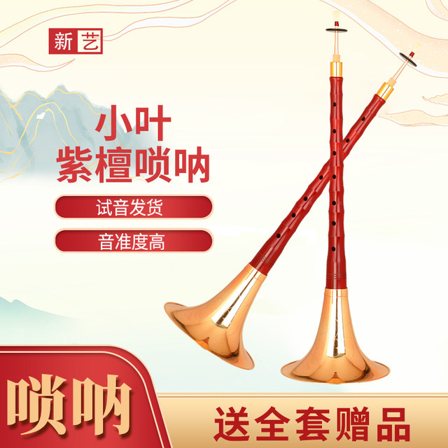 New art suona musical instrument beginners full set of Ketan lobular ...