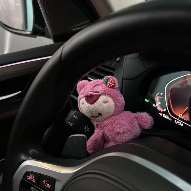 Sunset homemade strawberry bear star dailu doll embrace decorative ...