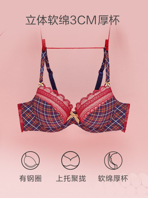Fendis Scottish Plaid Red Lingerie for Women, Sexy Push-Up Bra for ...