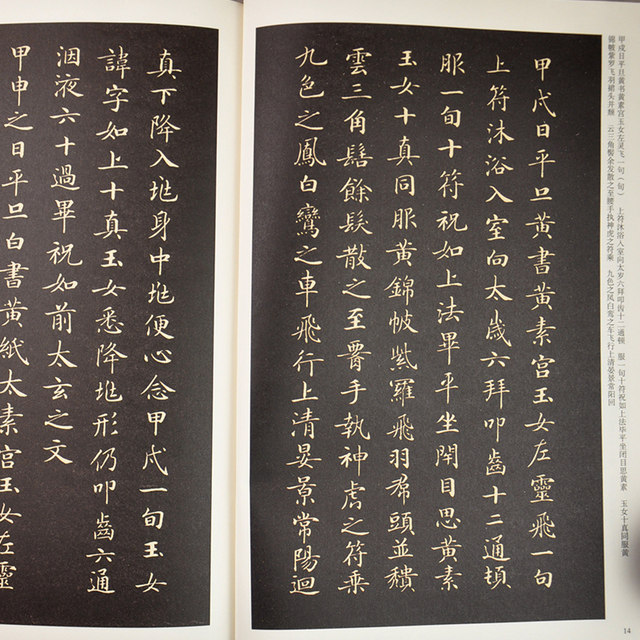 100 Essences of the Spiritual Flying Scriptures from Ancient Steles of ...