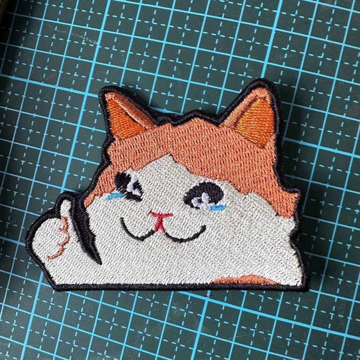 Encourage Like Cat Morale Badge Embroidery Creative Badge Tearful ...