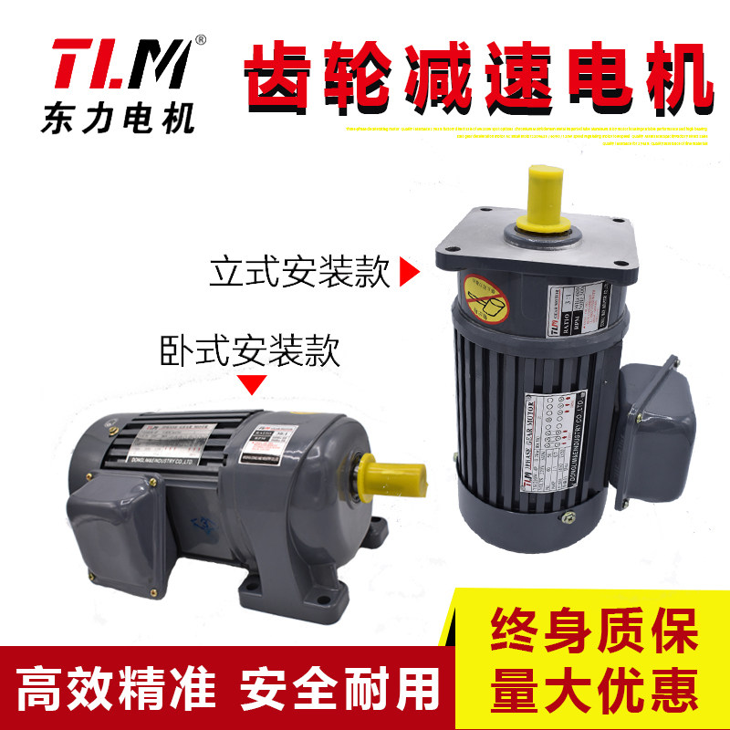 Horizontal CH/PL Vertical CV/PF Three-Phase Gear Reduction Motor ...