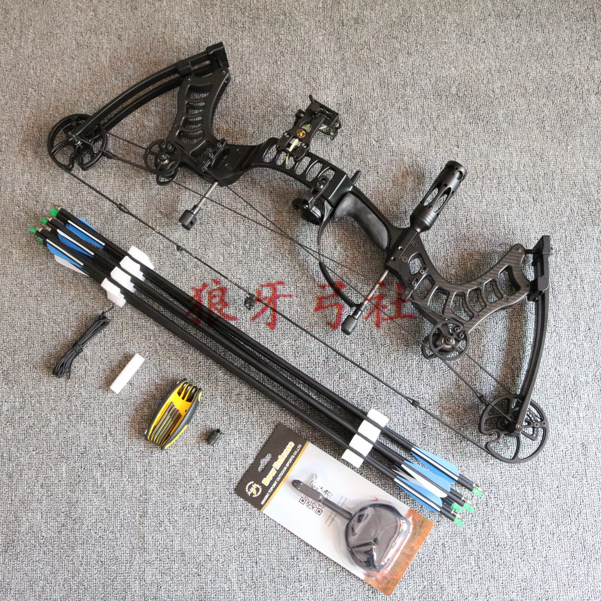 Raptor XPRO dual-purpose compound bow steel ball archery non-night ...
