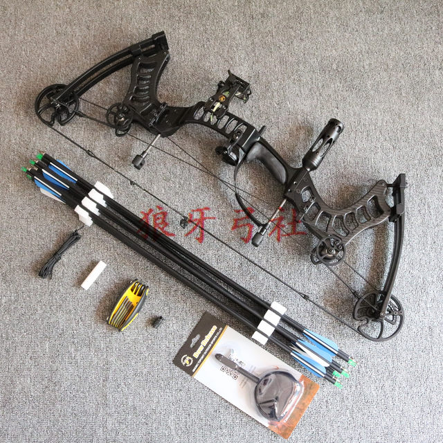 Raptor XPRO dual-purpose compound bow steel ball archery non-night ...