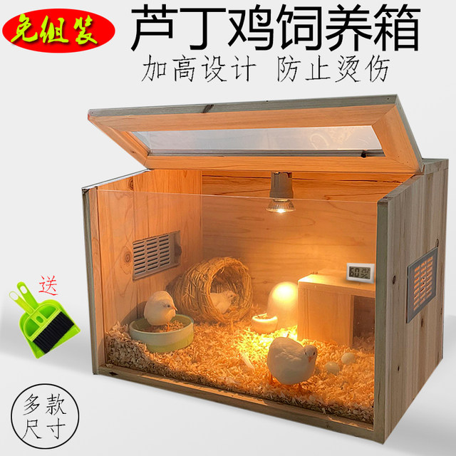 Rudin chicken breeding box Ludin chicken live parrot Cole duck bird ...