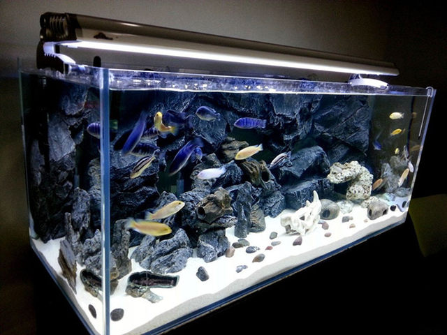 Customized gold crystal ultra-white fish tank medium-sized small ...