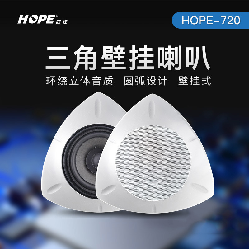Hope/Yearning for 720 Triangular Wall-Mounted Speaker Pair with Arc Design