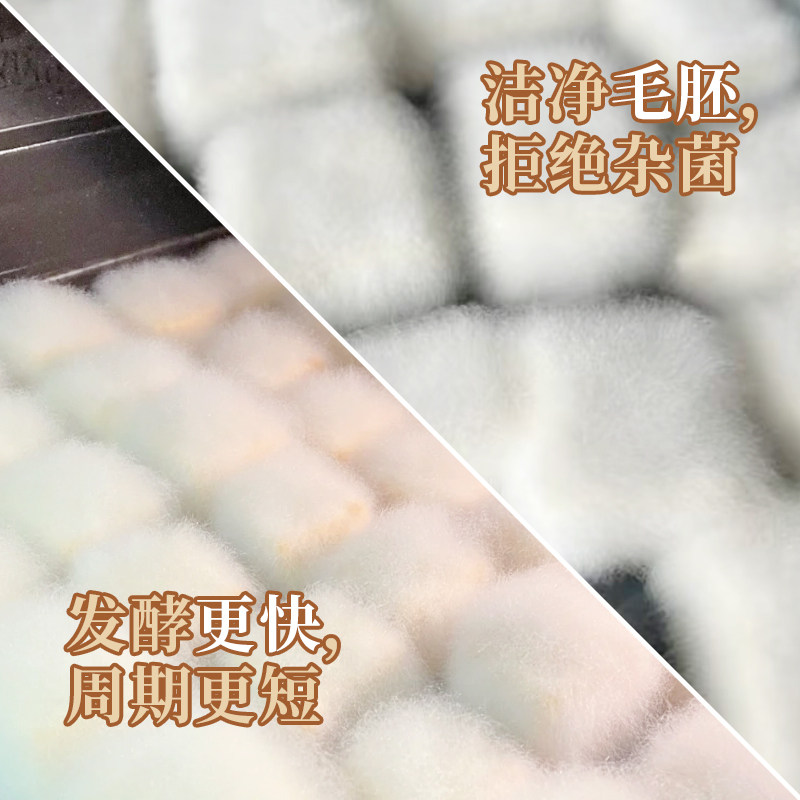 Kawahisa Chuanxiu Fermented Bean Curd Koji Powder - Homemade Stinky ...