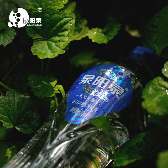 Quanyangquan Changbai Mountain Natural 8 Cold Mineral Spring Weakly Alkaline Drinking Water ...
