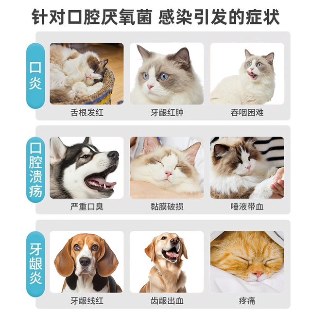 Sunuo anti-inflammatory tablets, cat stomatitis medicine, red and ...