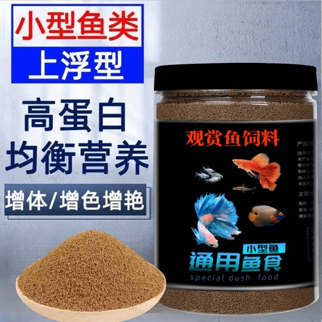 Zebrafish fish feed fish feed small fish eating betta goldfish ...