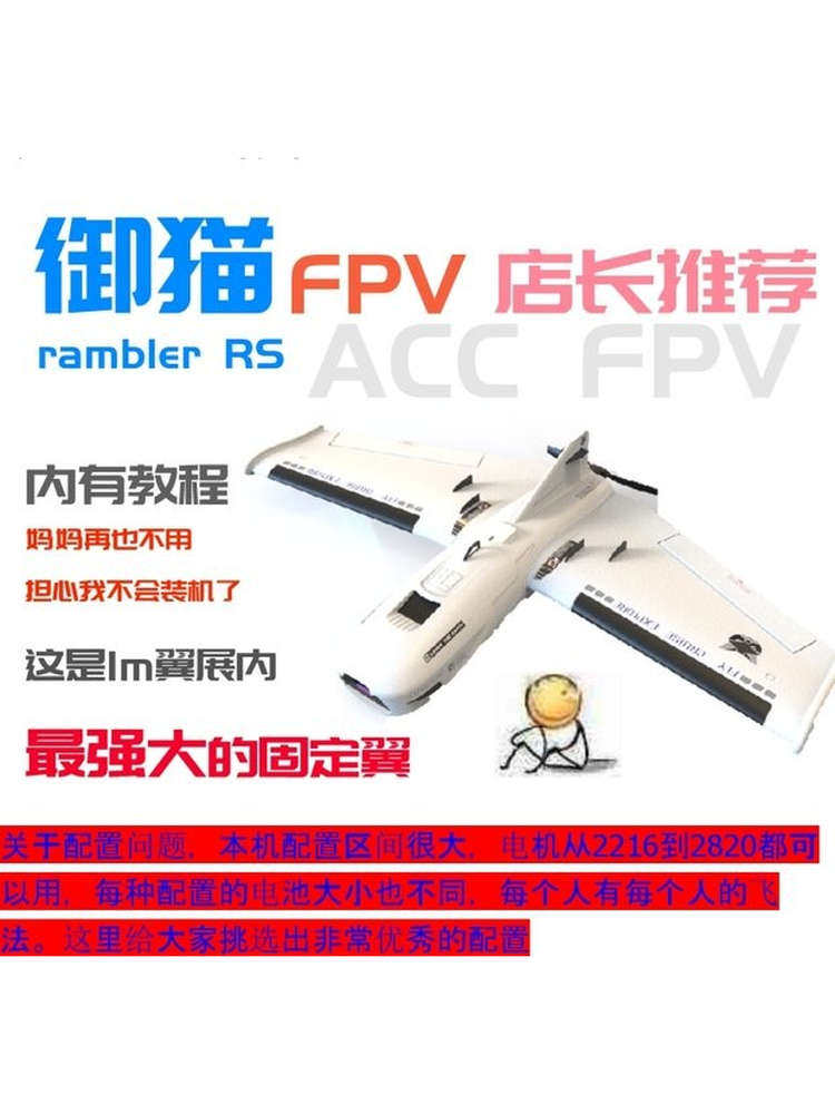 Rambler Royal Cat 1000mm Envergadura FPV Ala Voladora