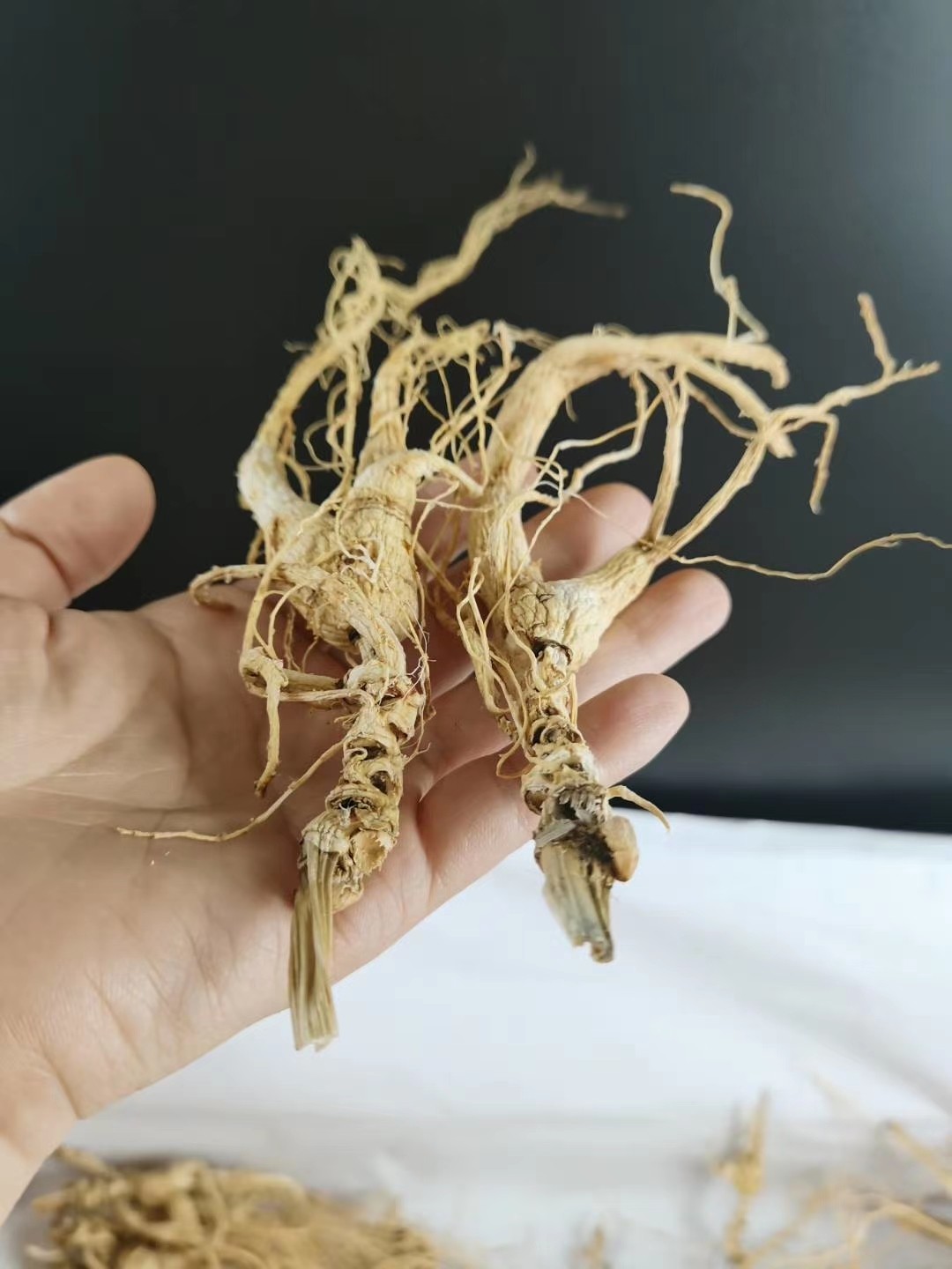 High-Year Dry Ginseng Seeds from Forest Mountain | Wild Ginseng ...