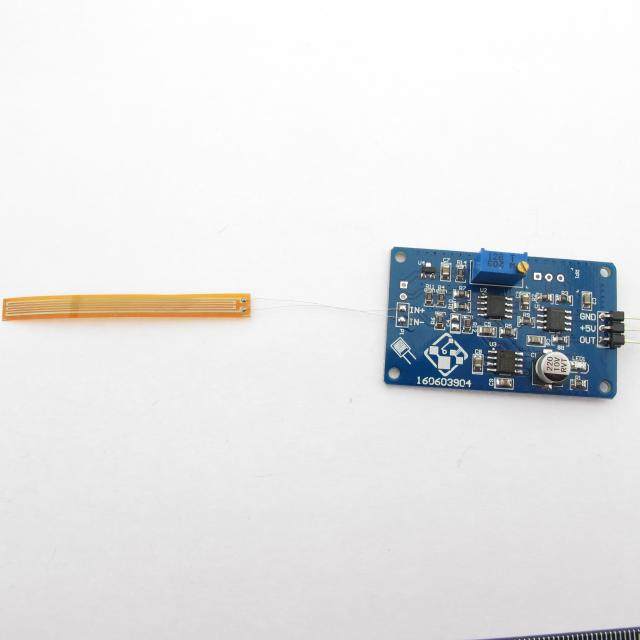 Strain Gauge Module - 120 Ohm - Concrete Bridge Bending Detection
