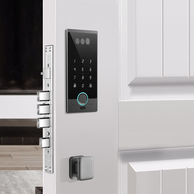 Wanjia's new embedded fingerprint lock smart lock inlaid villa security ...