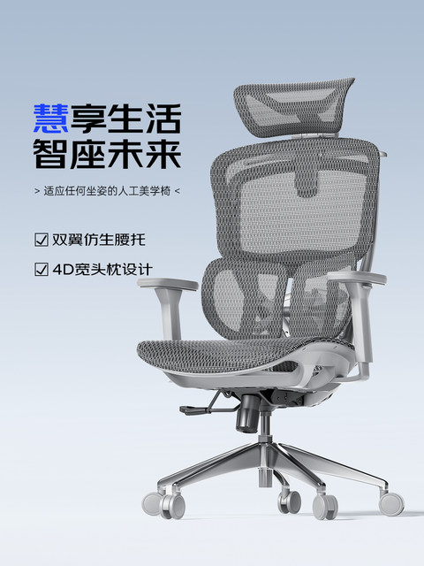 ERGOUP/Youpu Wisdom A1 Ergonomic Chair Office Chair, Waist Lama ...