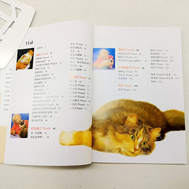 Genuine TTouch magical hairy child massage technique for cats ...